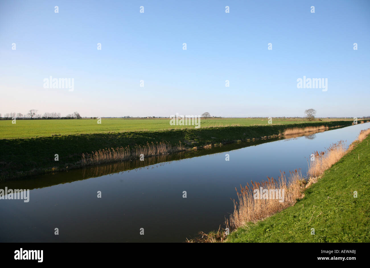 Waterway Fenland UK Stock Photo - Alamy
