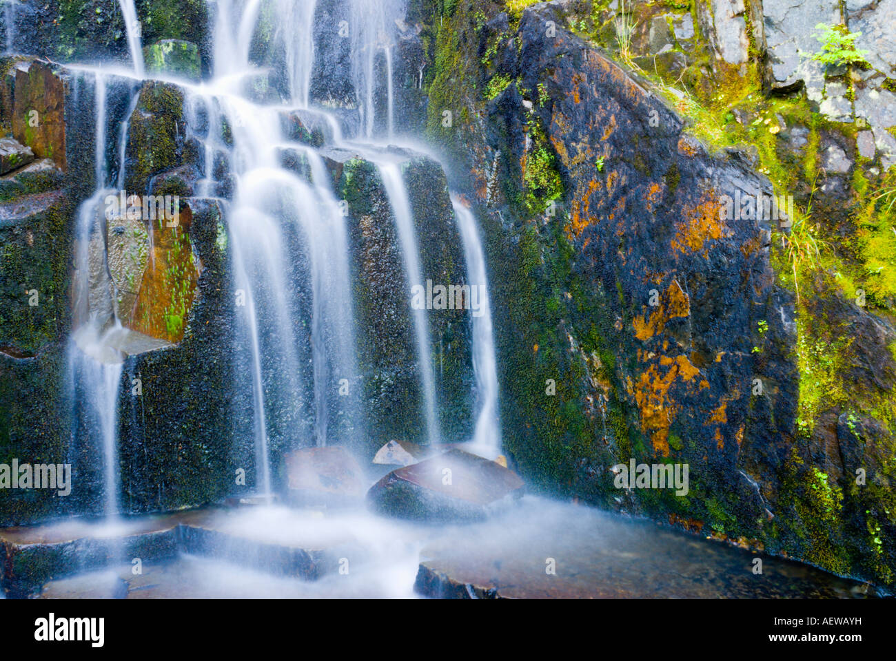 Cascade on Sunbeam Creek Mount Rainier National Park Washington Stock ...