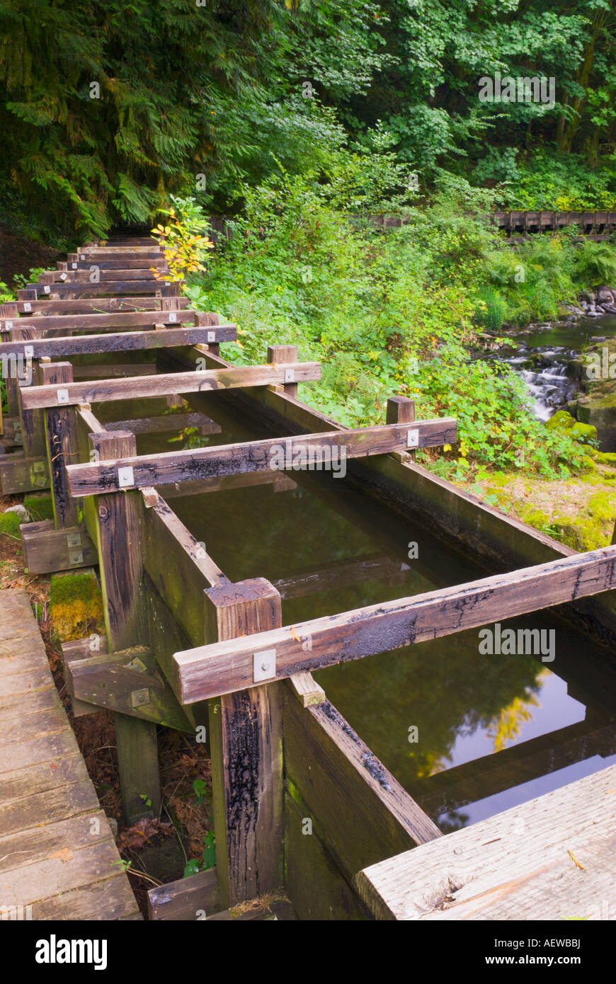 Flume at Cedar Creek Grist Mill Clark County Washington Stock Photo - Alamy