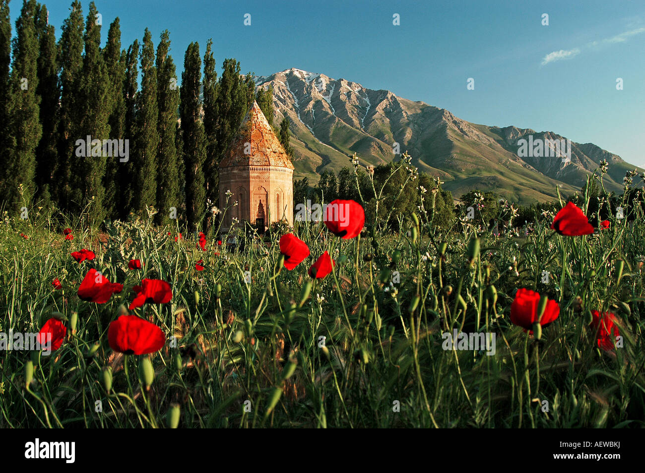 East van hi-res stock photography and images - Alamy