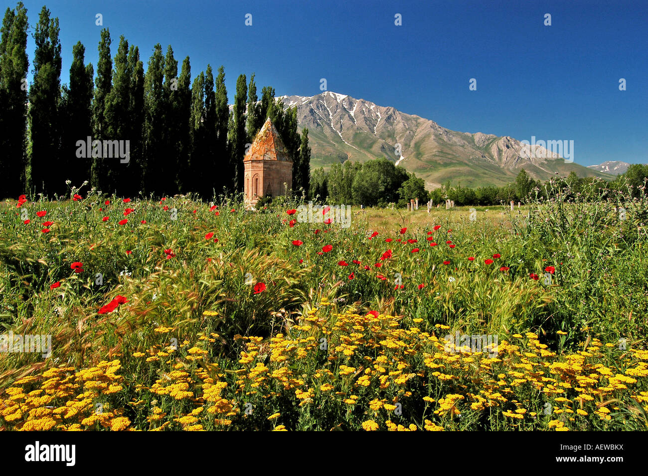 East van hi-res stock photography and images - Alamy