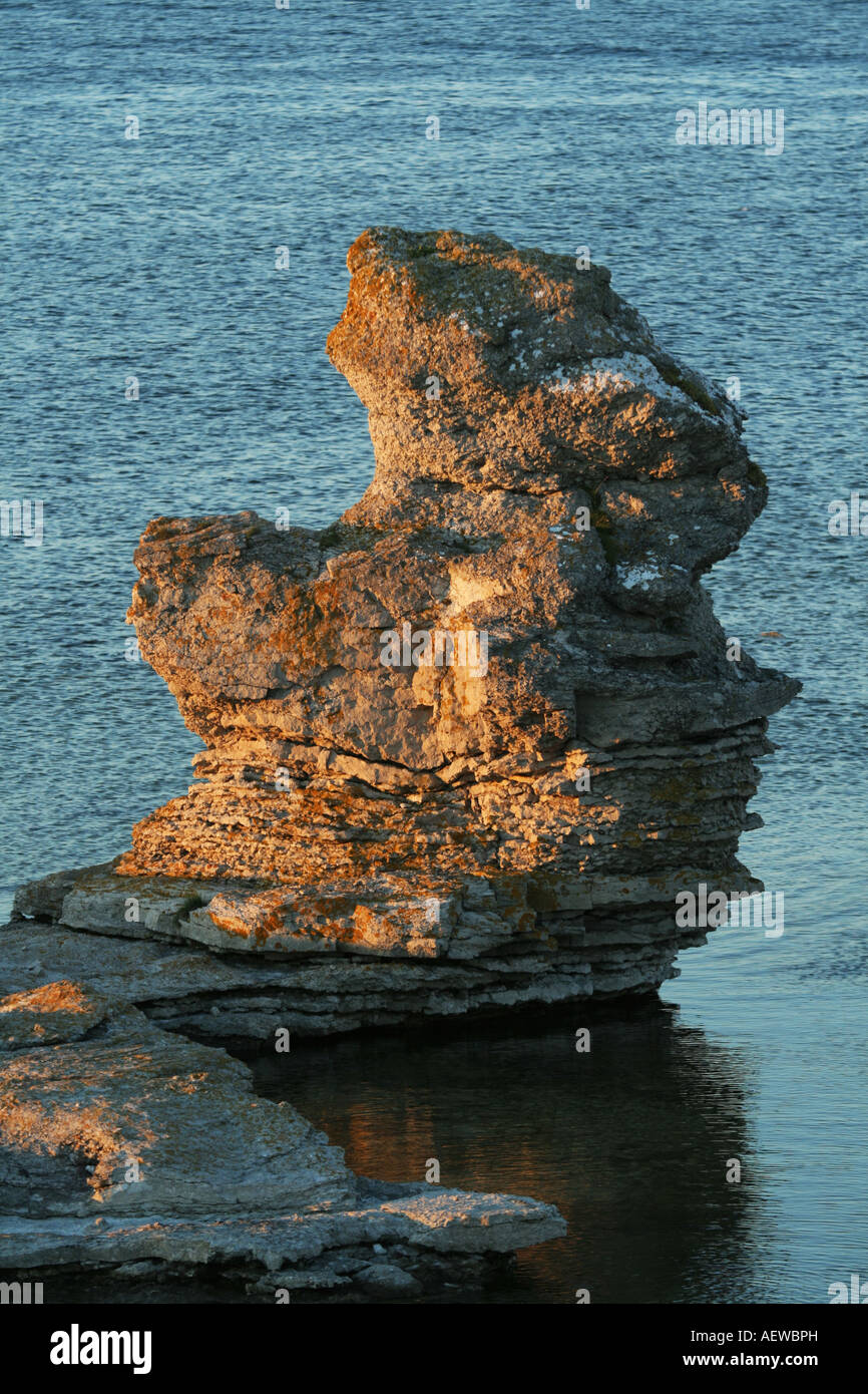 Natural seastacks in Faro Gotland called Rauks This rauk is standing in ...