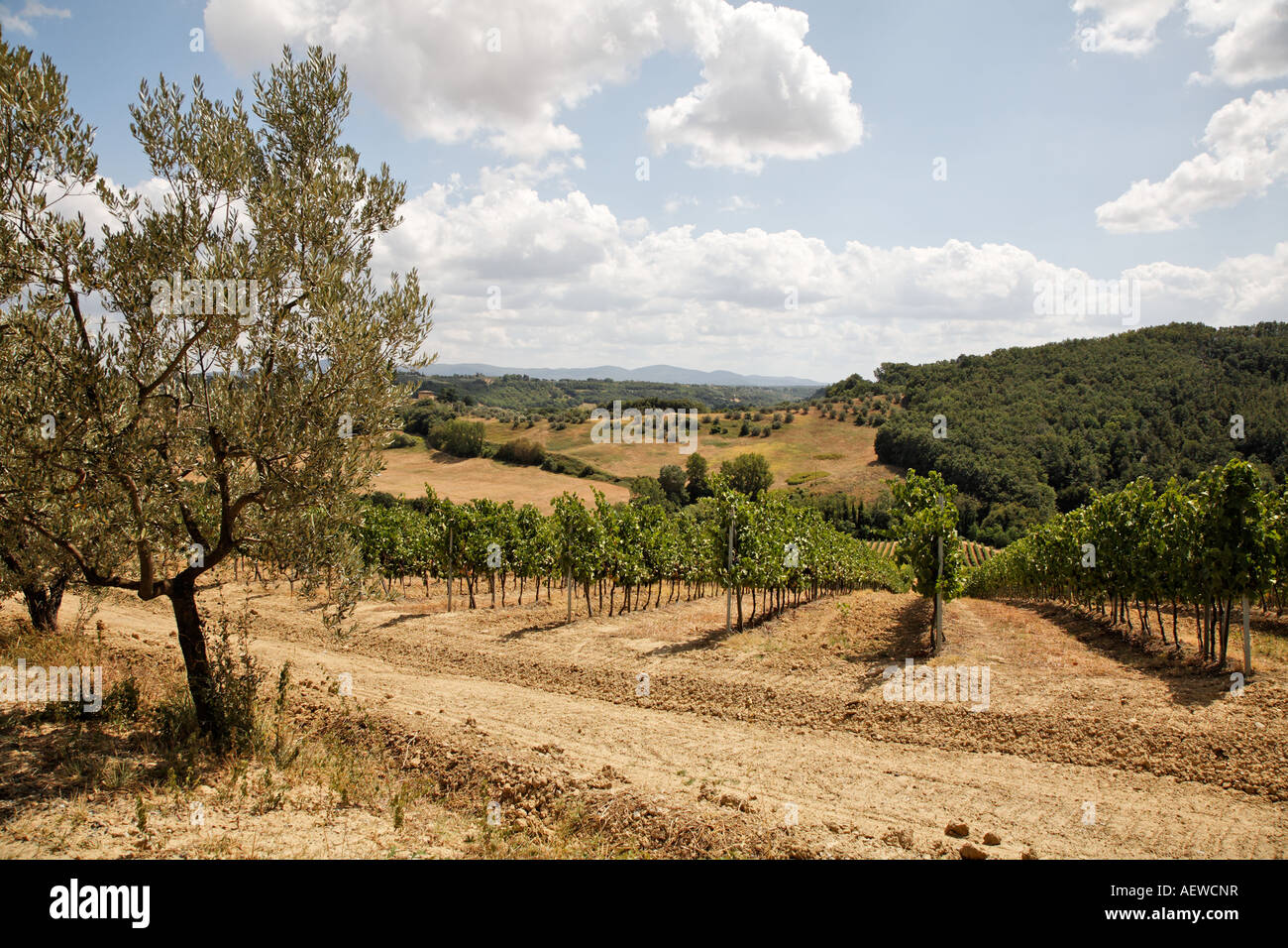 Classic farm scene hi-res stock photography and images - Alamy