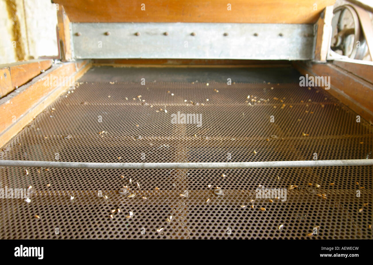 Grain cleaner. The grain falls through the sieve leaving the chaff dust ...