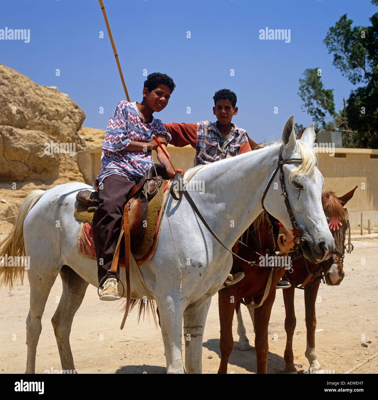 Local Egyptian Boys On Horses Giza Cairo Egypt North Africa Stock Photo ...