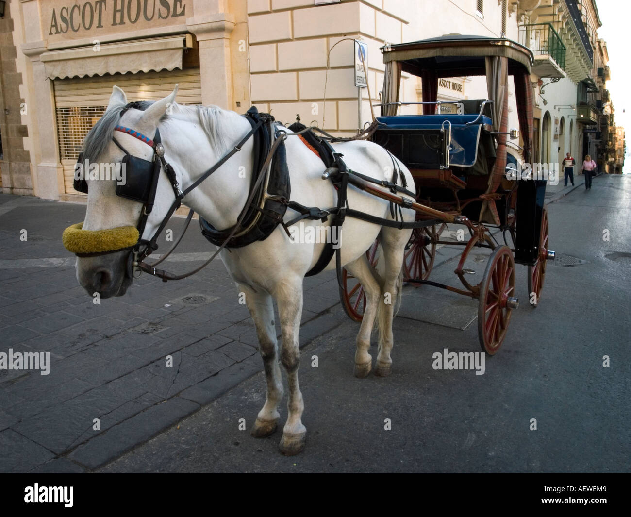 A horse Karozzin (Local barouche) used as a taxi. Valletta. Malta Stock ...