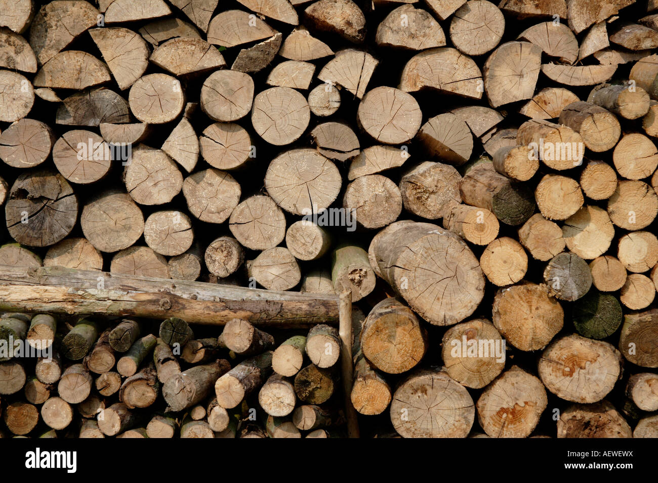Log pile close up Stock Photo - Alamy