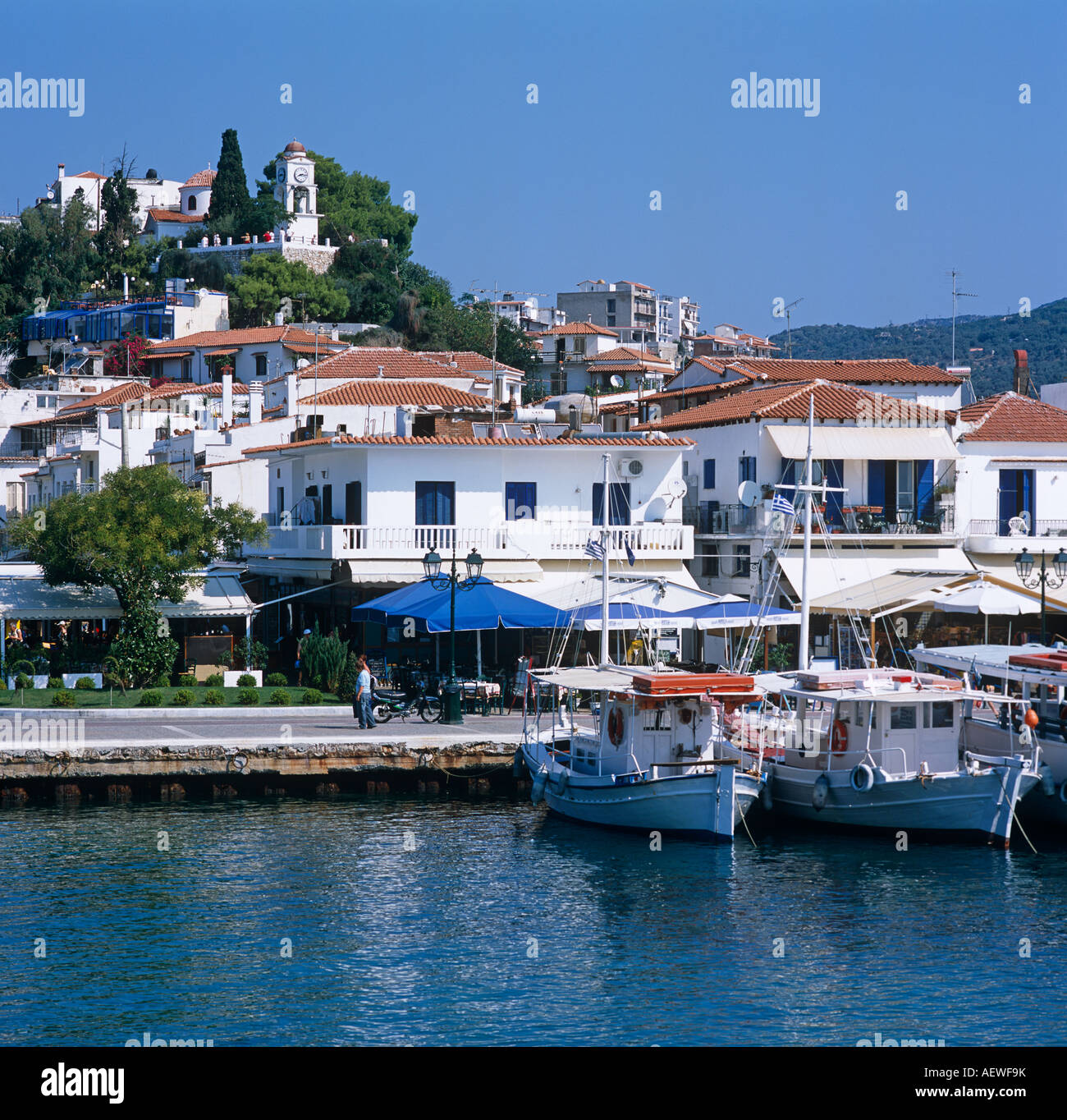 The Main Harbour Skiathos Town Skiathos Greek Islands Greece Hellas ...