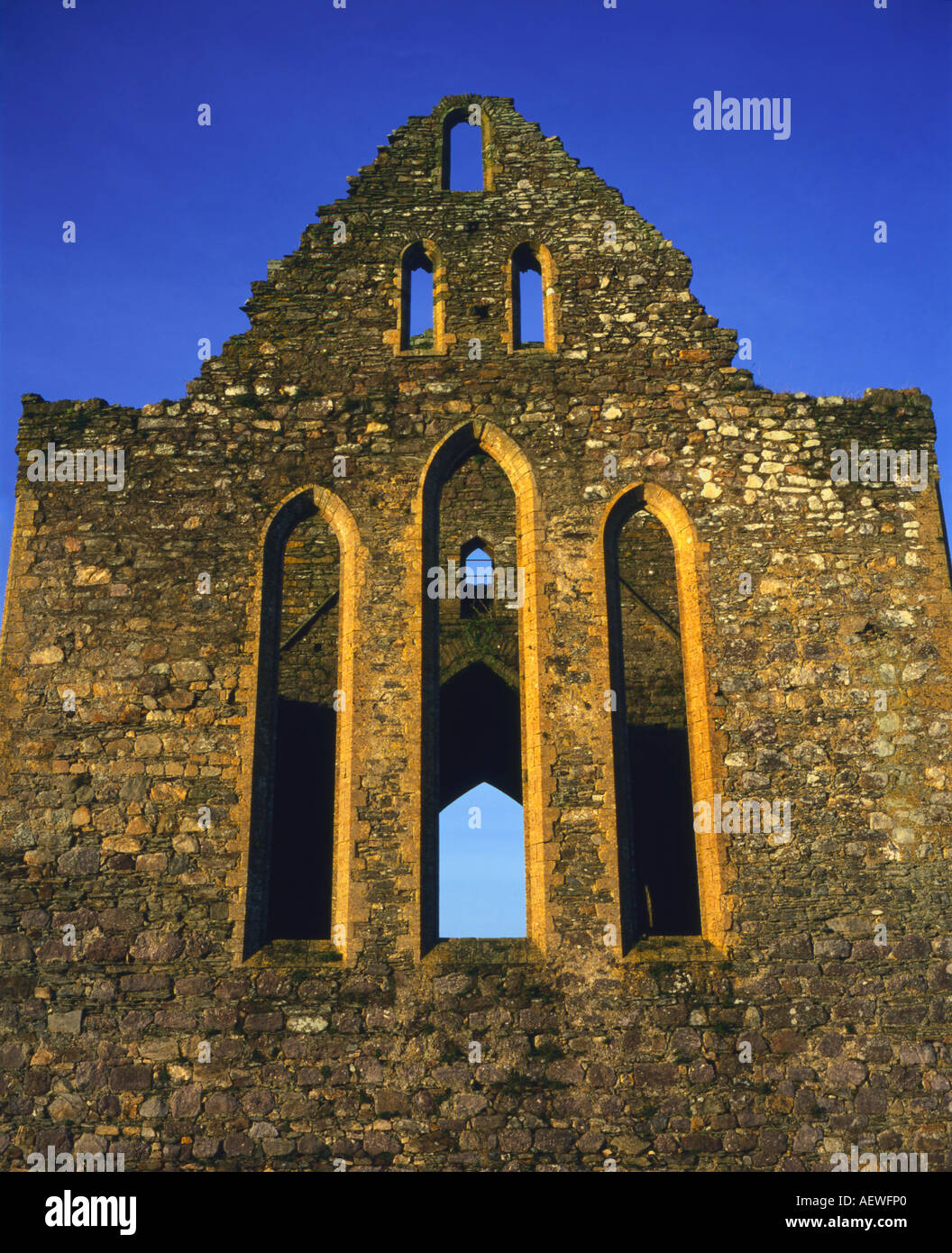 Dunbrody Abbey High Resolution Stock Photography and Images - Alamy