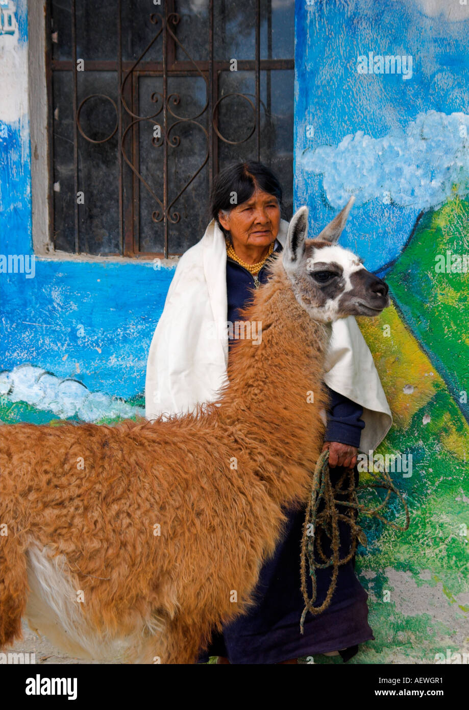Llama lady portrait, Ecuador Stock Photo - Alamy