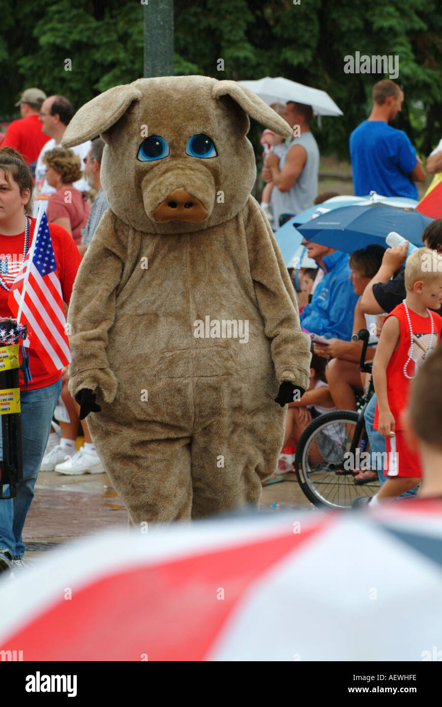 A pig mascot worn by a human walking in the parade Stock Photo - Alamy