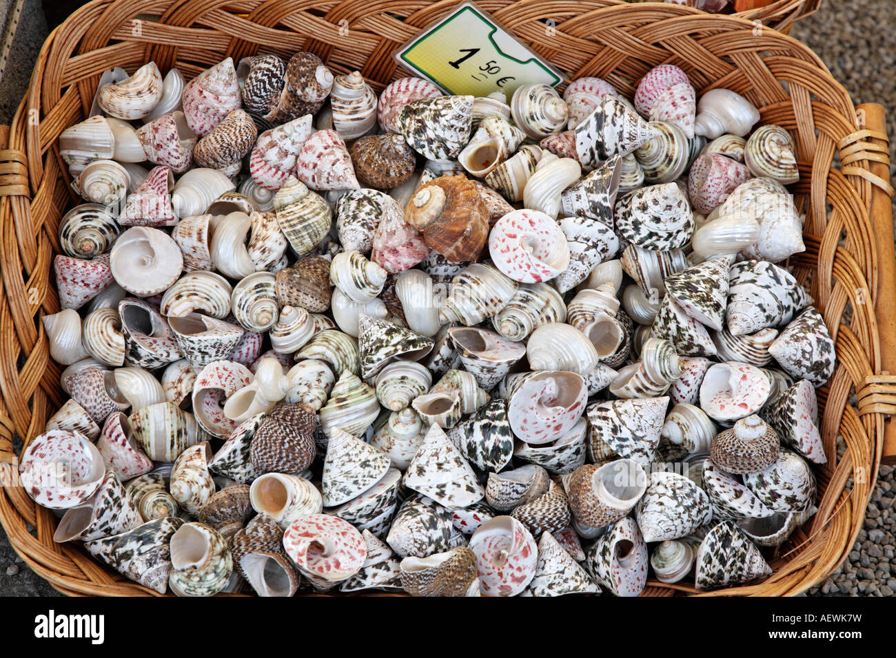 Greek shell hi-res stock photography and images - Alamy