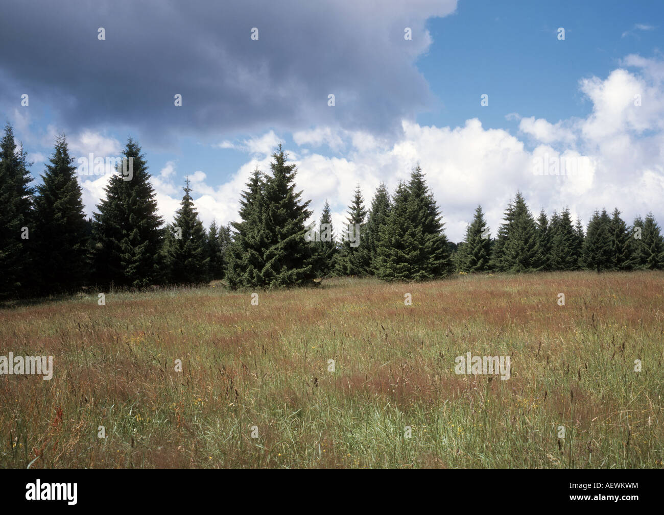 Bohemian plateau hi-res stock photography and images - Alamy