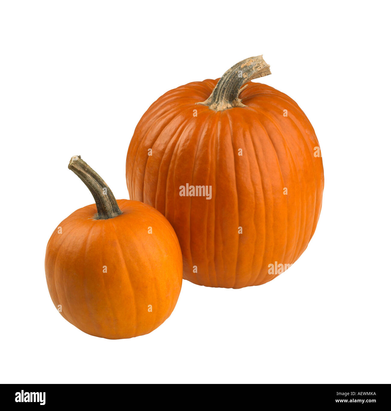 Growing and cut pumpkins hi-res stock photography and images - Alamy