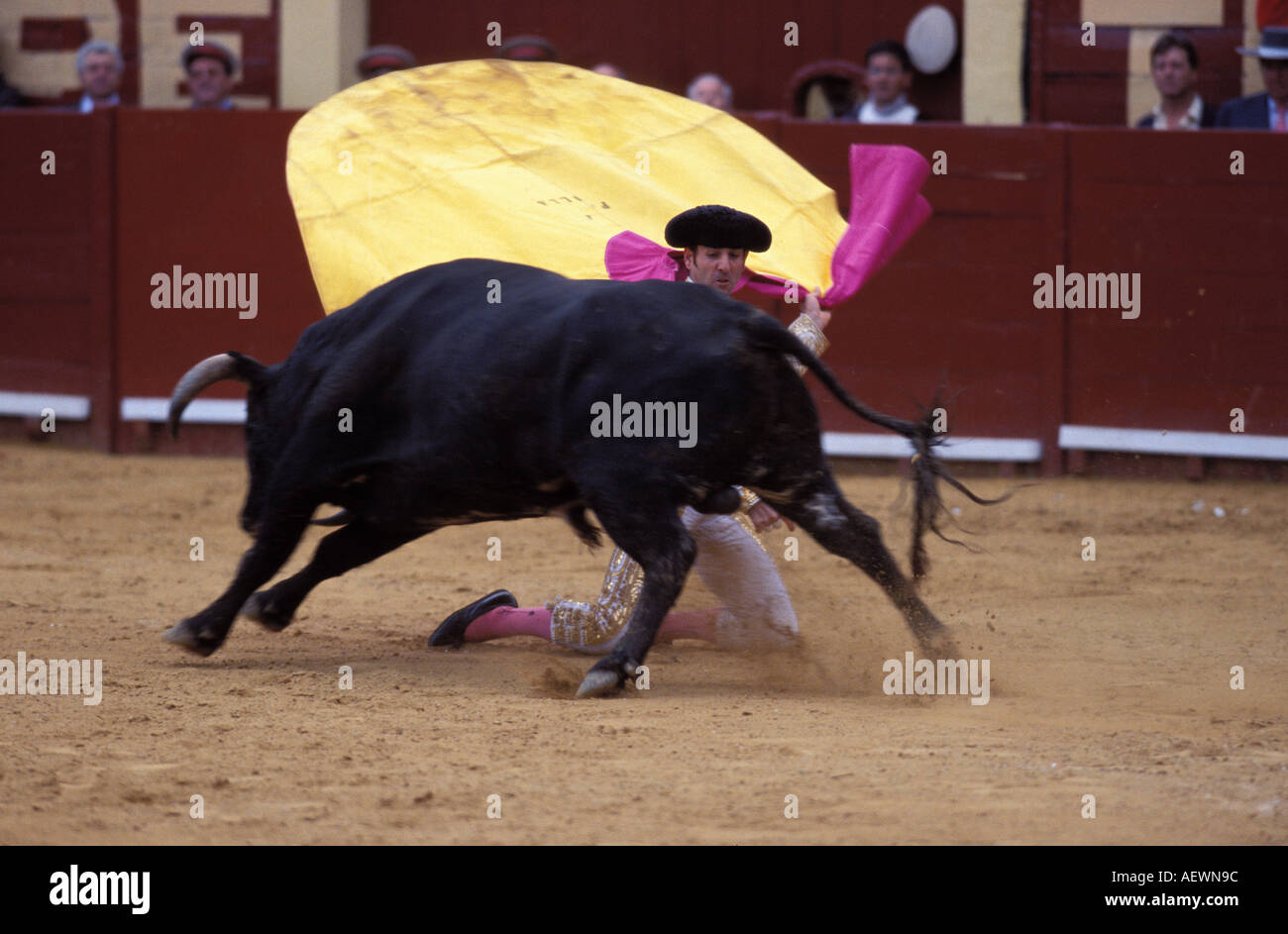 Bullfighter and bull in the arena 1st of a 3 picture sequence Stock ...