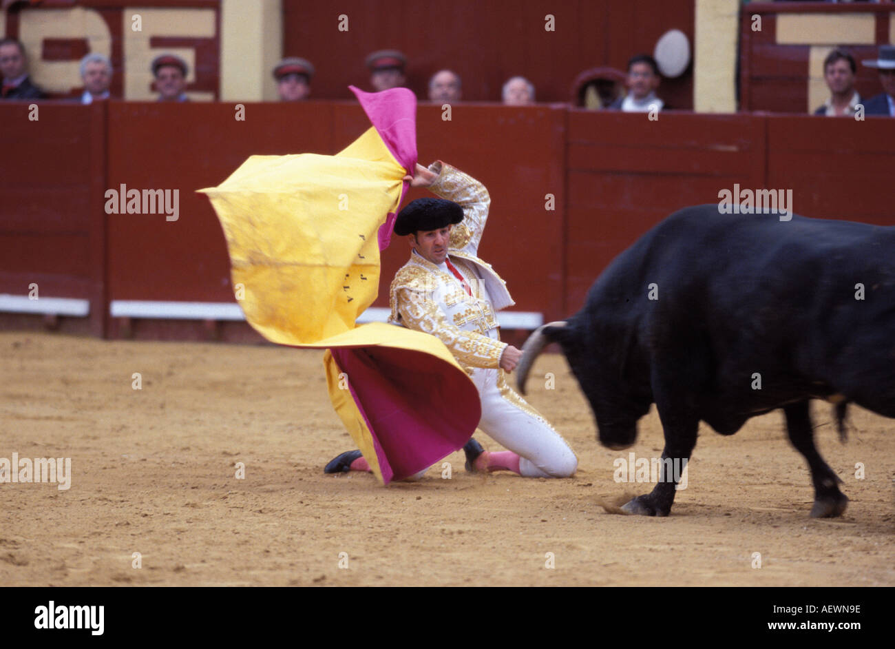 Bullfighter and bull in the arena 2nd of a 3 picture sequence Stock ...
