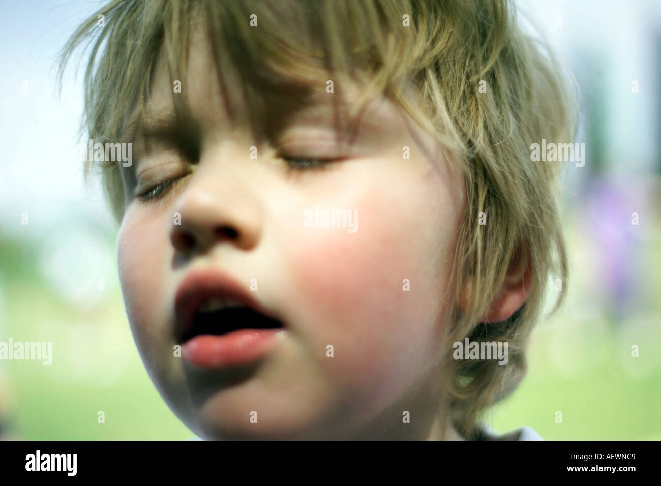 Hot and bothered hi-res stock photography and images - Alamy