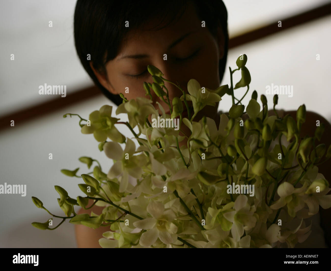 Japanese woman smelling flower hi-res stock photography and images - Alamy