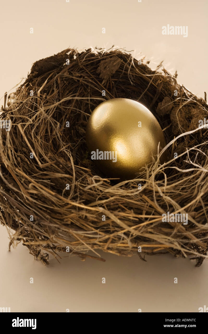 Still life of golden egg in nest Stock Photo - Alamy