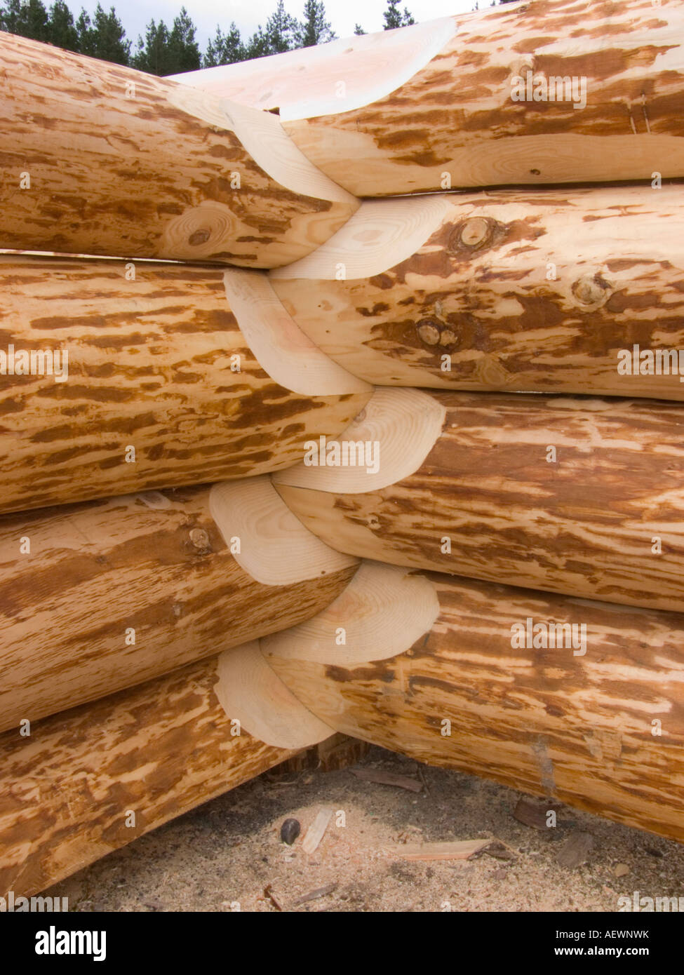 Log cabin construction hi-res stock photography and images - Alamy