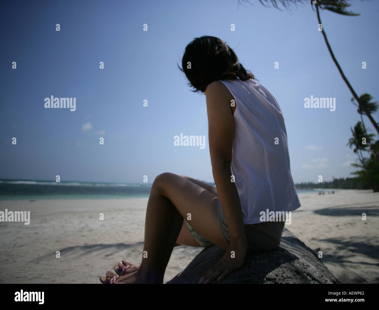 Rear view of a young woman sitting on the beach Stock Photo - Alamy
