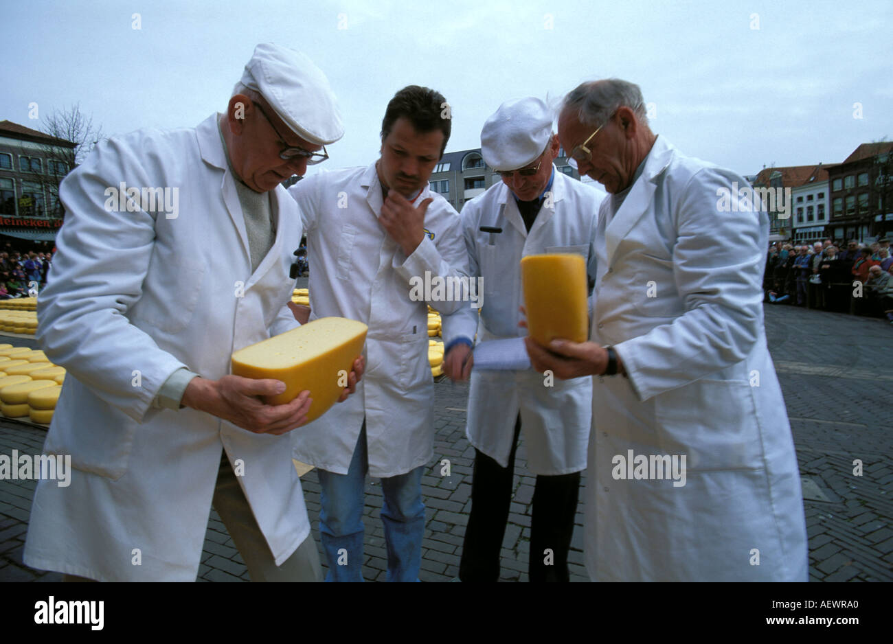 Cheese inspection hi-res stock photography and images - Alamy