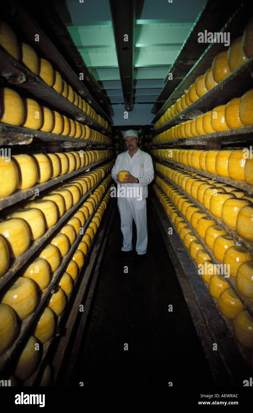 Stompetoren cheese factory Neerlandia Stock Photo - Alamy