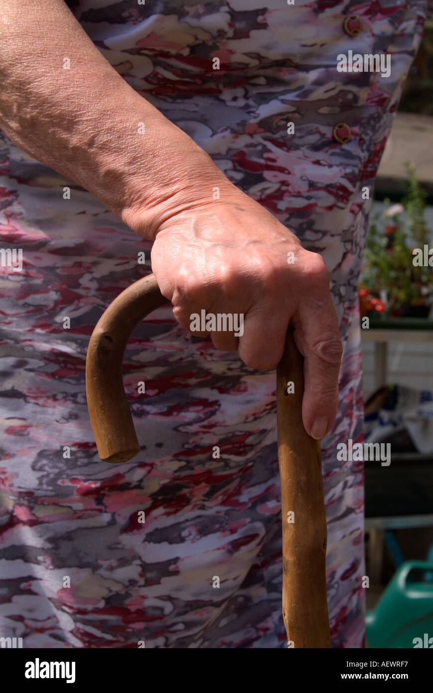 81 year old elderly woman holding her walking stick London UK Stock ...
