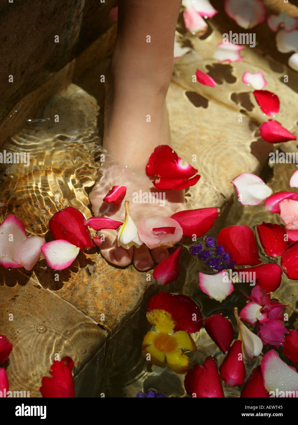 Feet dipped in water hi-res stock photography and images - Alamy