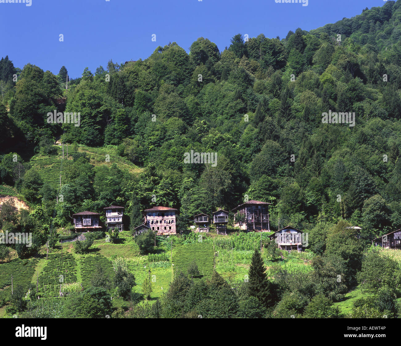 Camlihemsin Rize, Black Sea Region, Turkey Stock Photo - Alamy