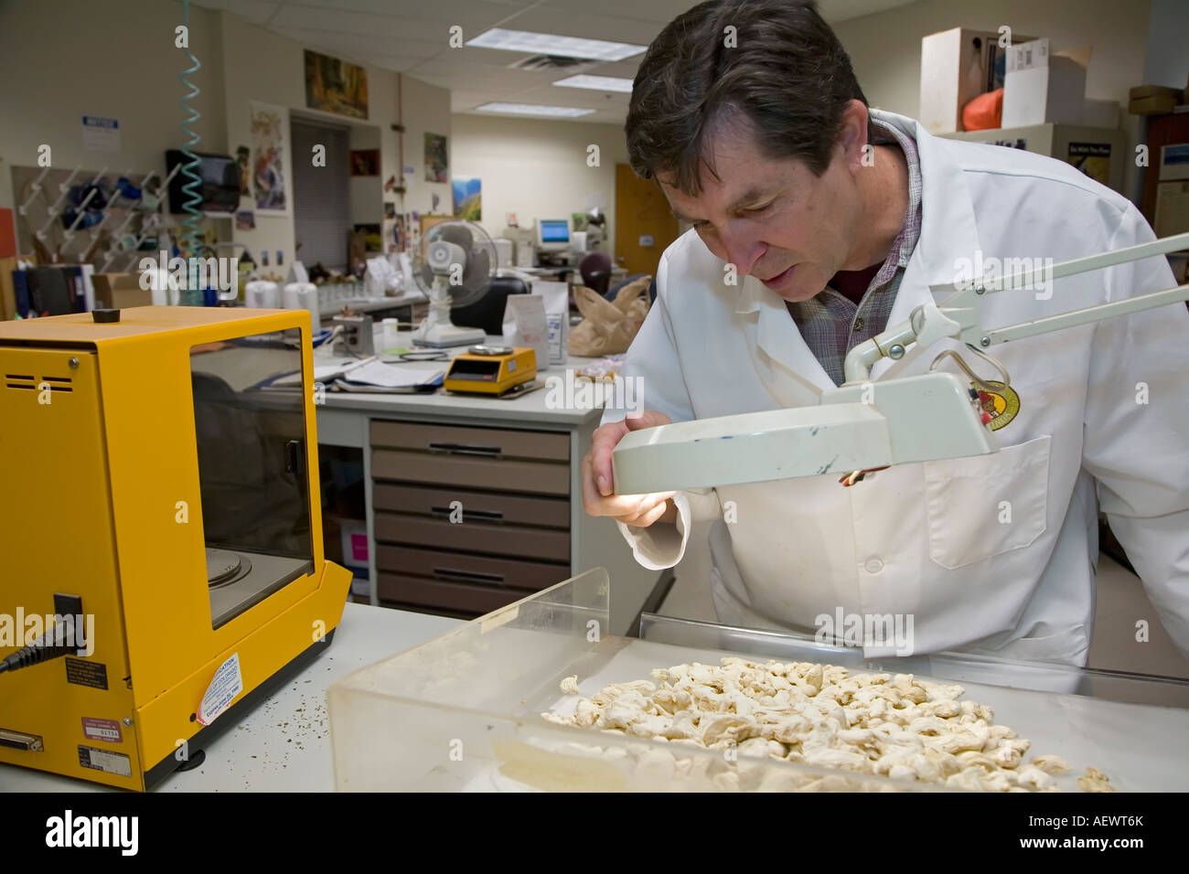Tea laboratory hi-res stock photography and images - Alamy