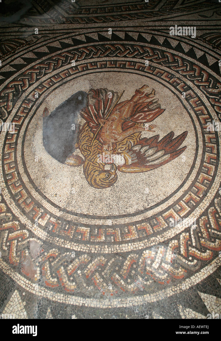 Zeus and ganymede hi-res stock photography and images - Alamy