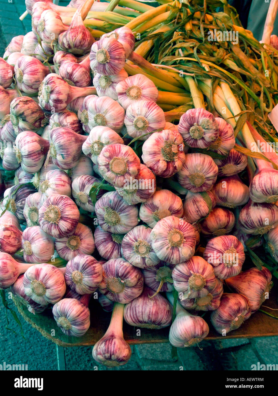 garlic for sale on market stall Stock Photo - Alamy