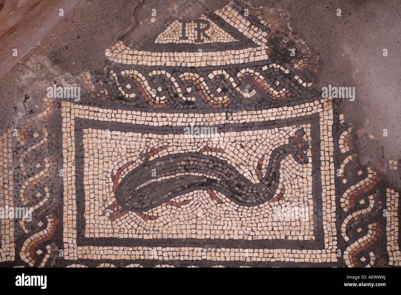 Dolphin Mosaic at Bignor Roman Villa, West Sussex, England Stock Photo ...