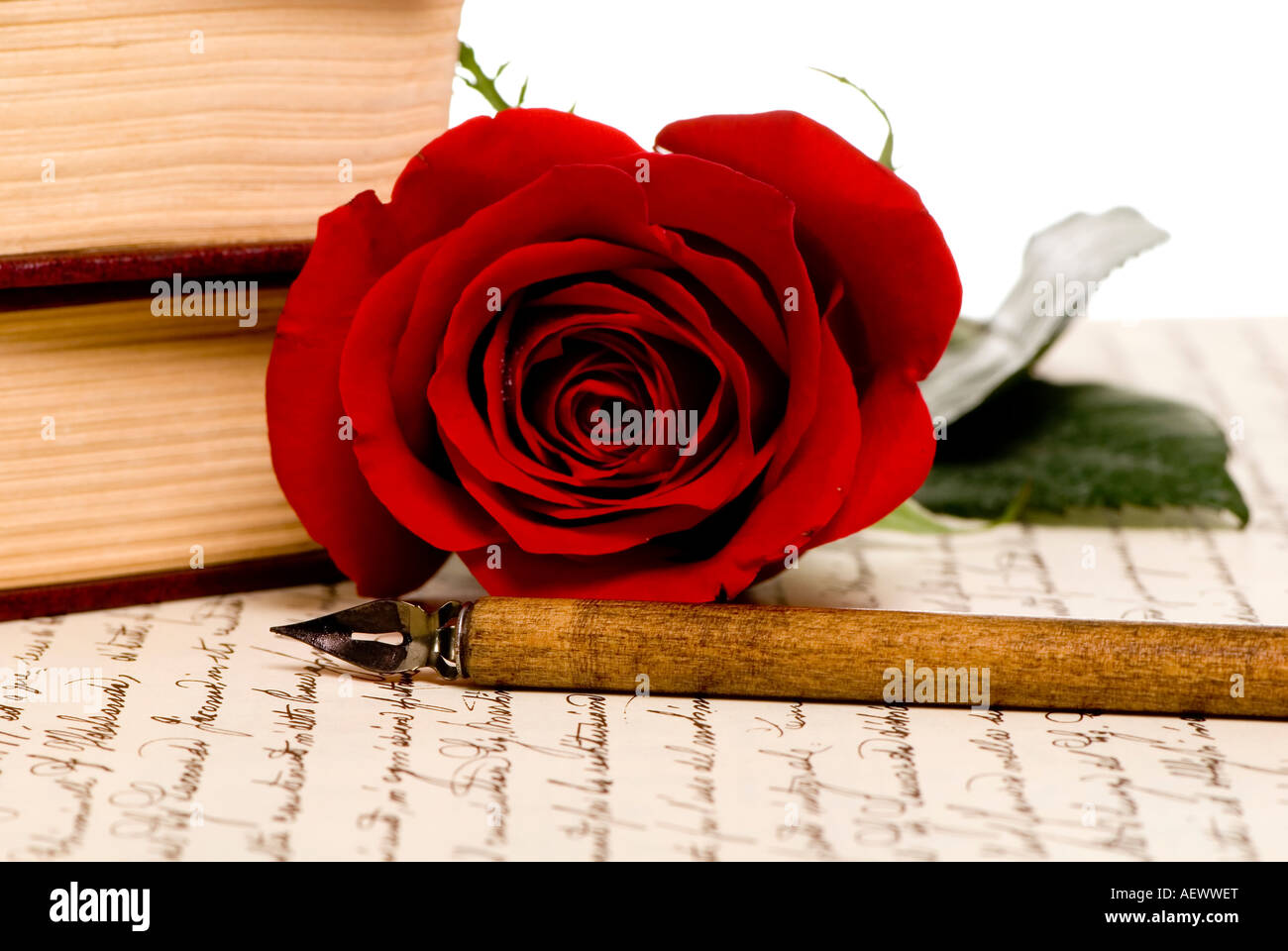 A single red rose lays on top of a hand written document Stock Photo ...
