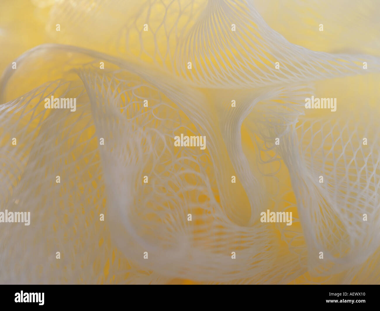 Close up of a mesh Stock Photo - Alamy