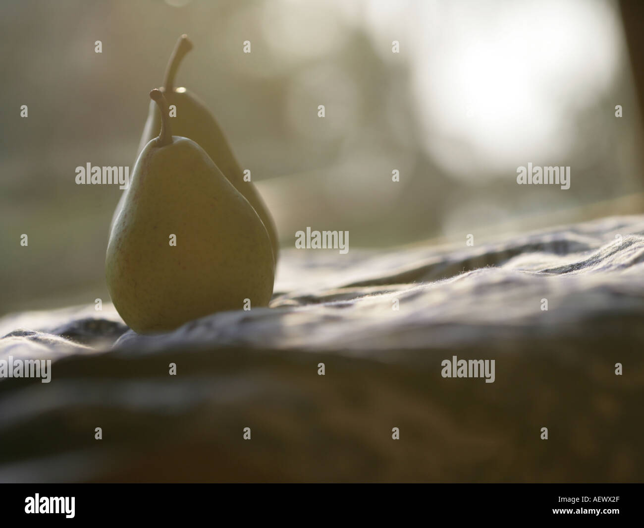 Bartlett pears still life hi-res stock photography and images - Alamy