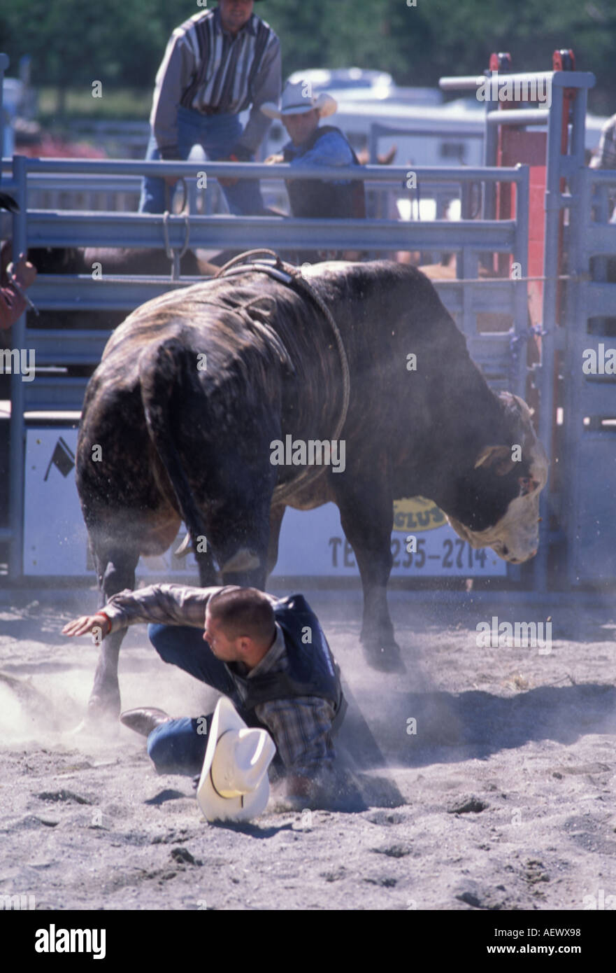 Getting out of trouble cowboy hat hi-res stock photography and images ...