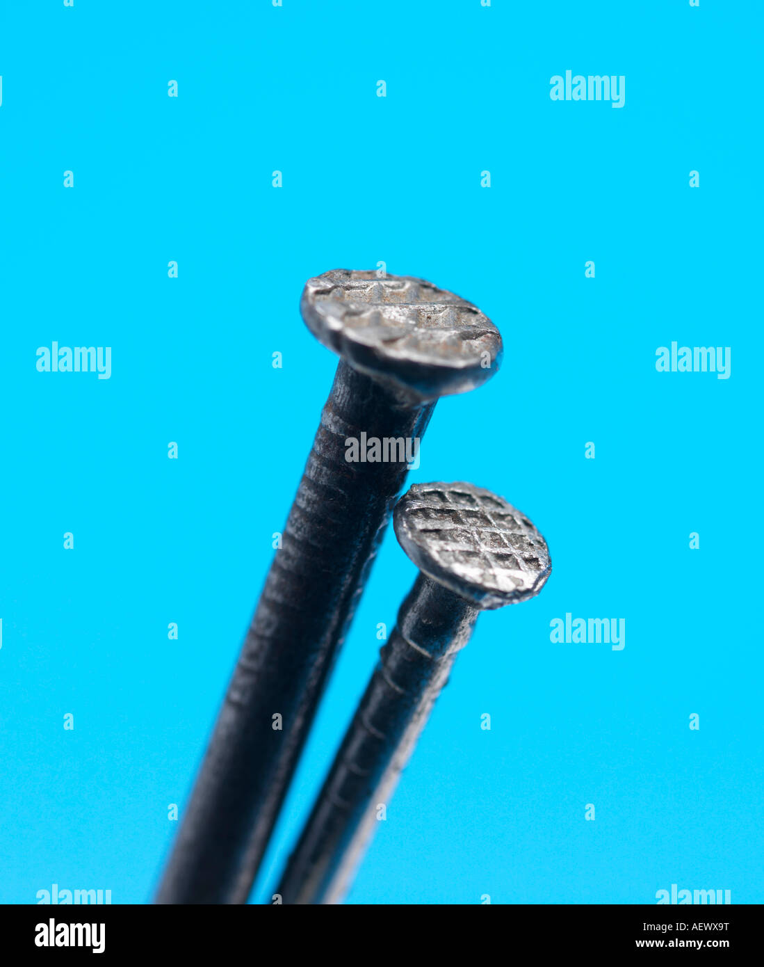 nails blue iron tool close up head two Stock Photo - Alamy