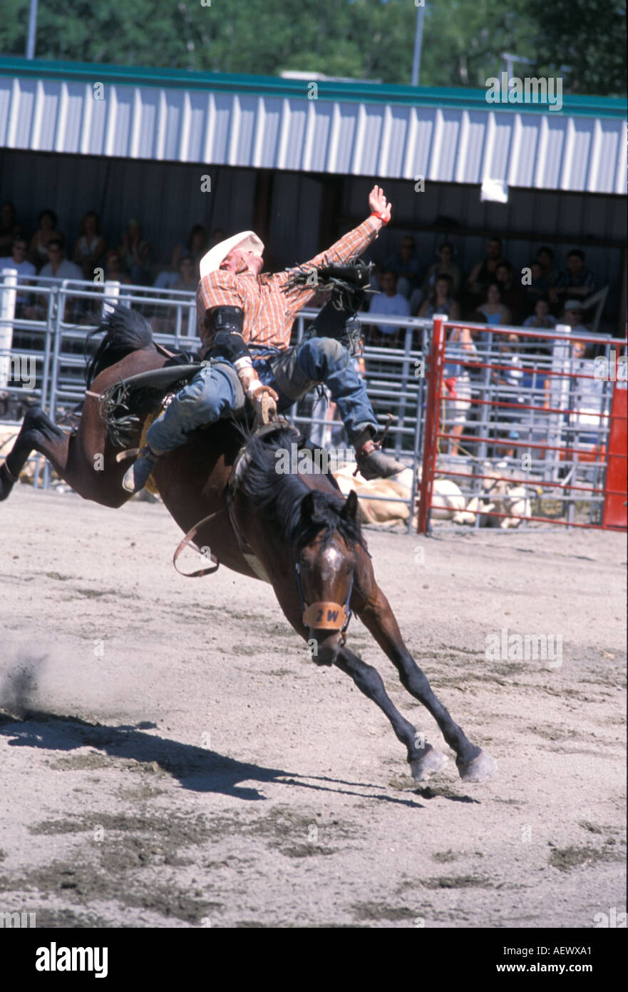 Bucking bronco ride hi-res stock photography and images - Alamy