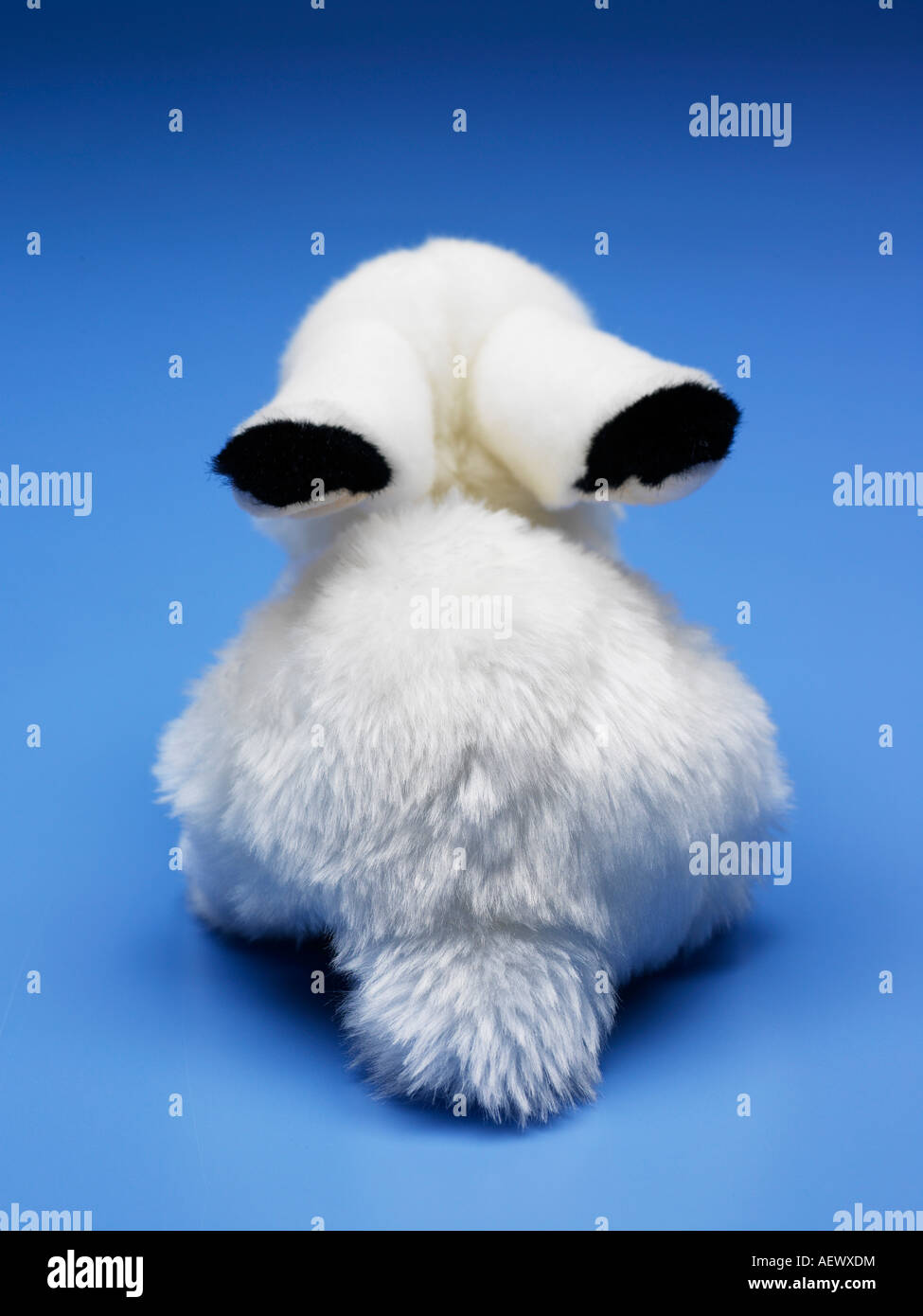 rabbit white peluche soft brushed plush tail back Stock Photo - Alamy