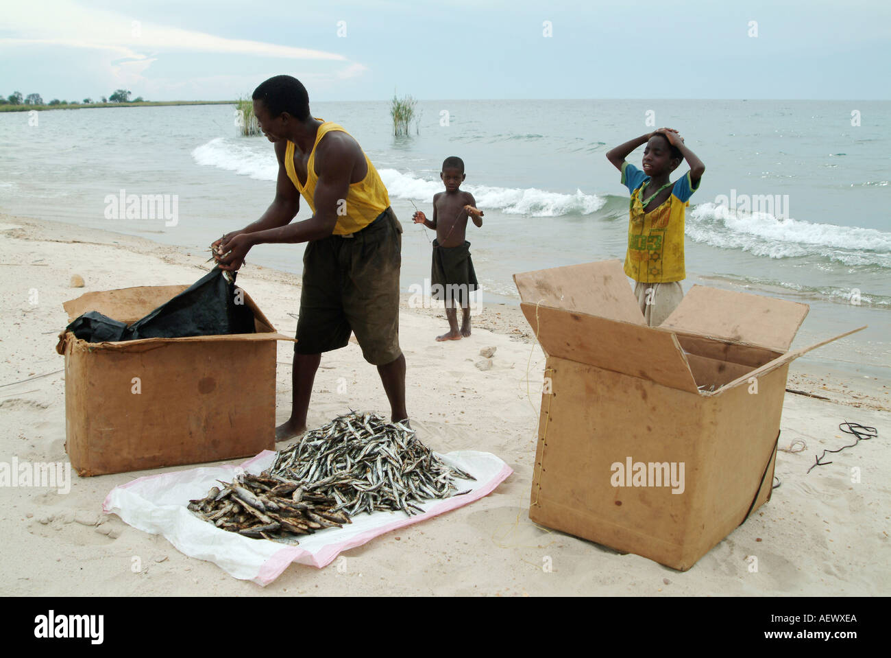 Kapenta fishing hi-res stock photography and images - Alamy