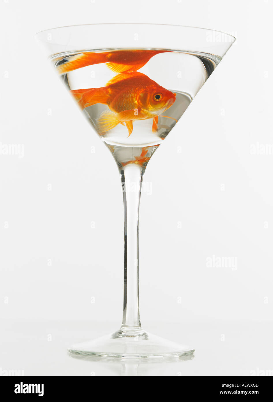 Drink like a fish hi-res stock photography and images - Alamy
