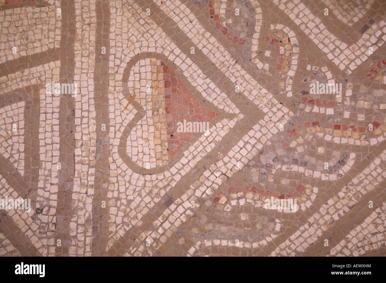 Tessellated floor hi-res stock photography and images - Alamy