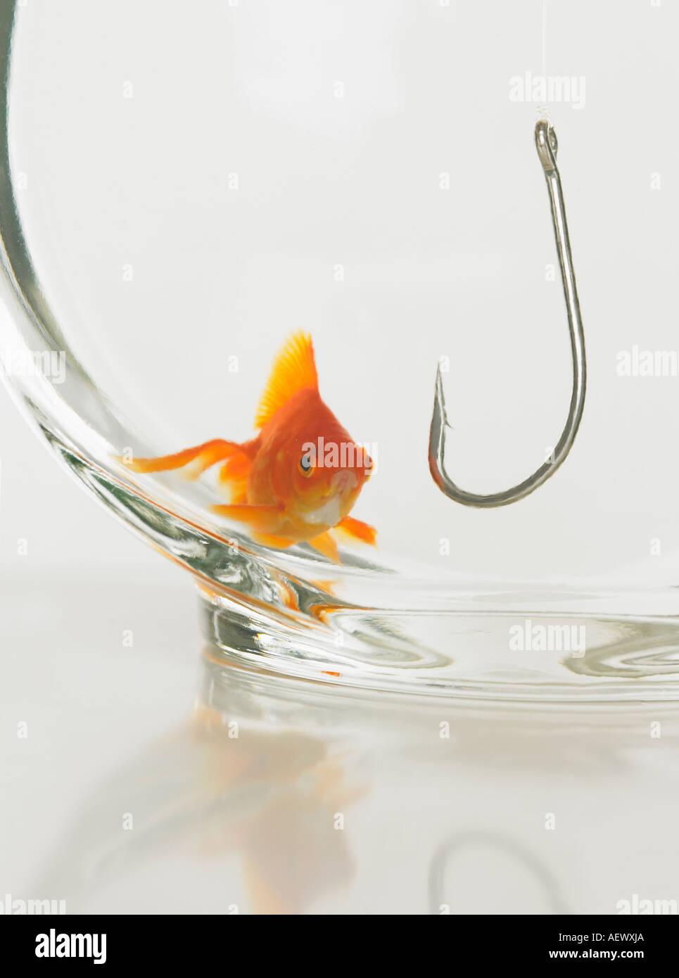 Goldfish in fishbowl with hook Stock Photo - Alamy