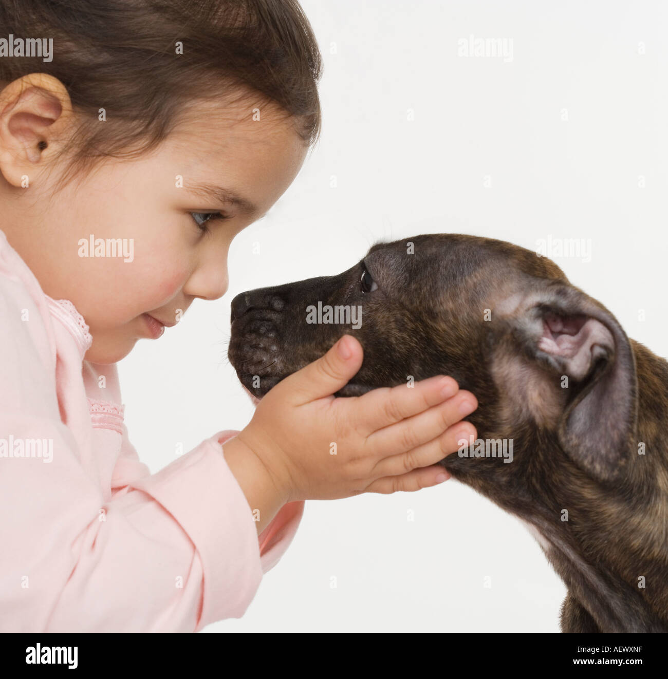 Hispanic girl puppy hi-res stock photography and images - Alamy