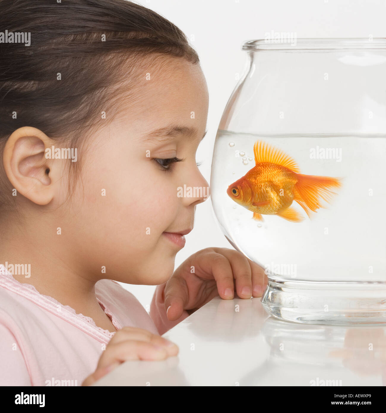 Fishbowls hi-res stock photography and images - Alamy