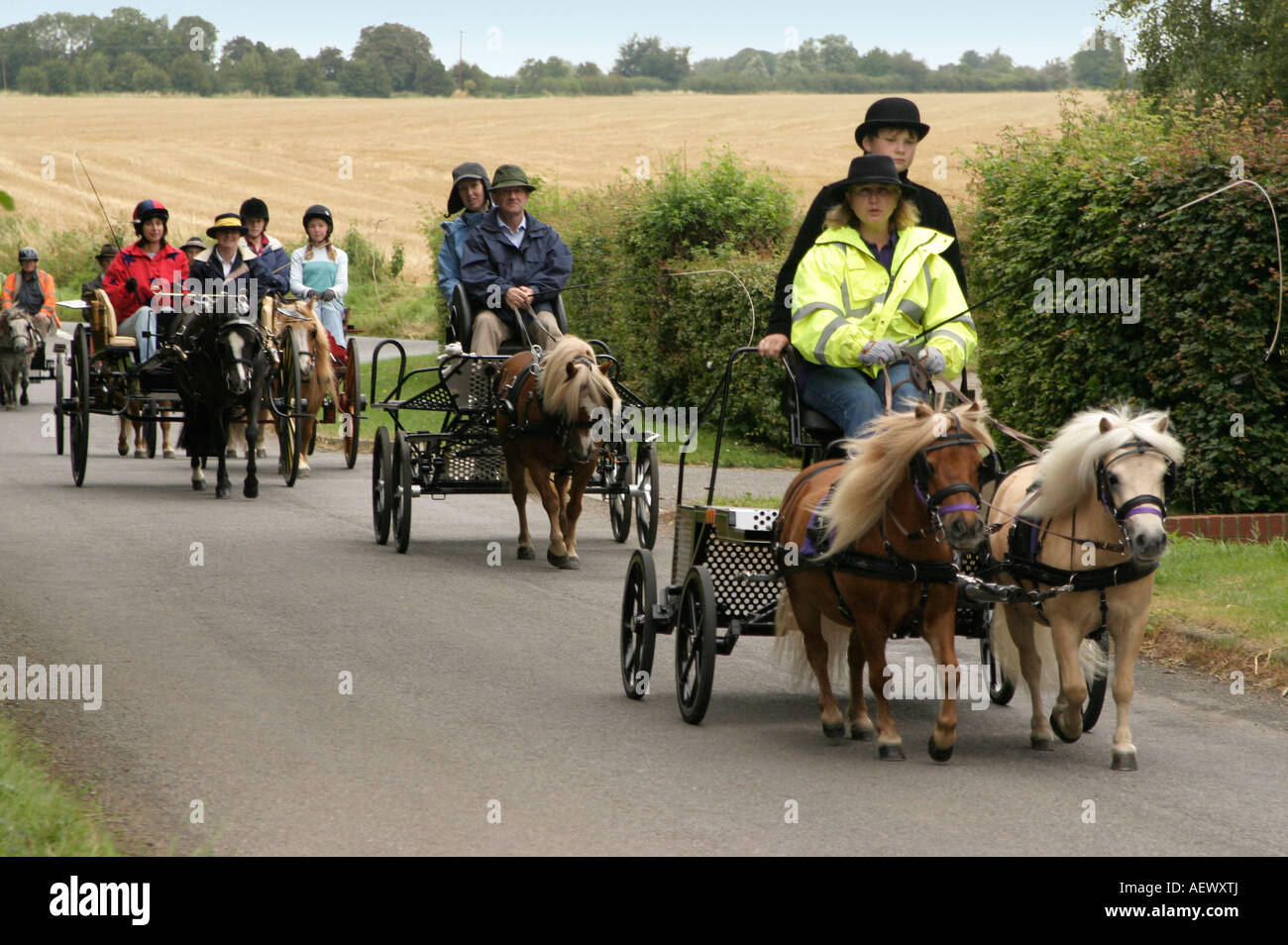 Shetland pony driving carts hi-res stock photography and images - Alamy