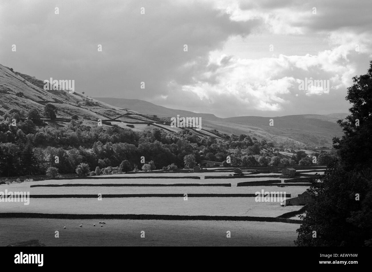 English border cumbria Black and White Stock Photos & Images - Alamy