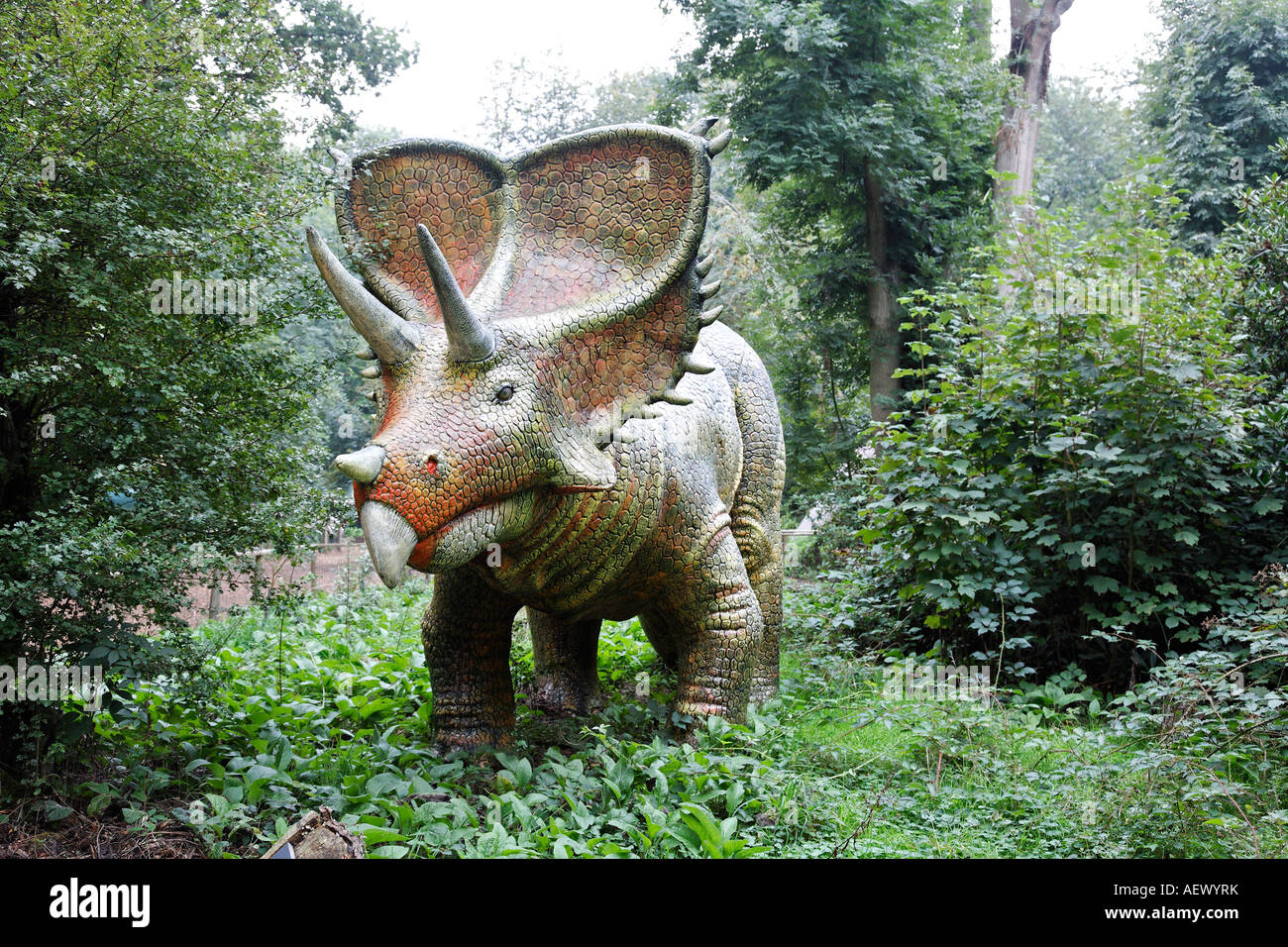 Life size model dinosaur Chasmosaurus Stock Photo - Alamy
